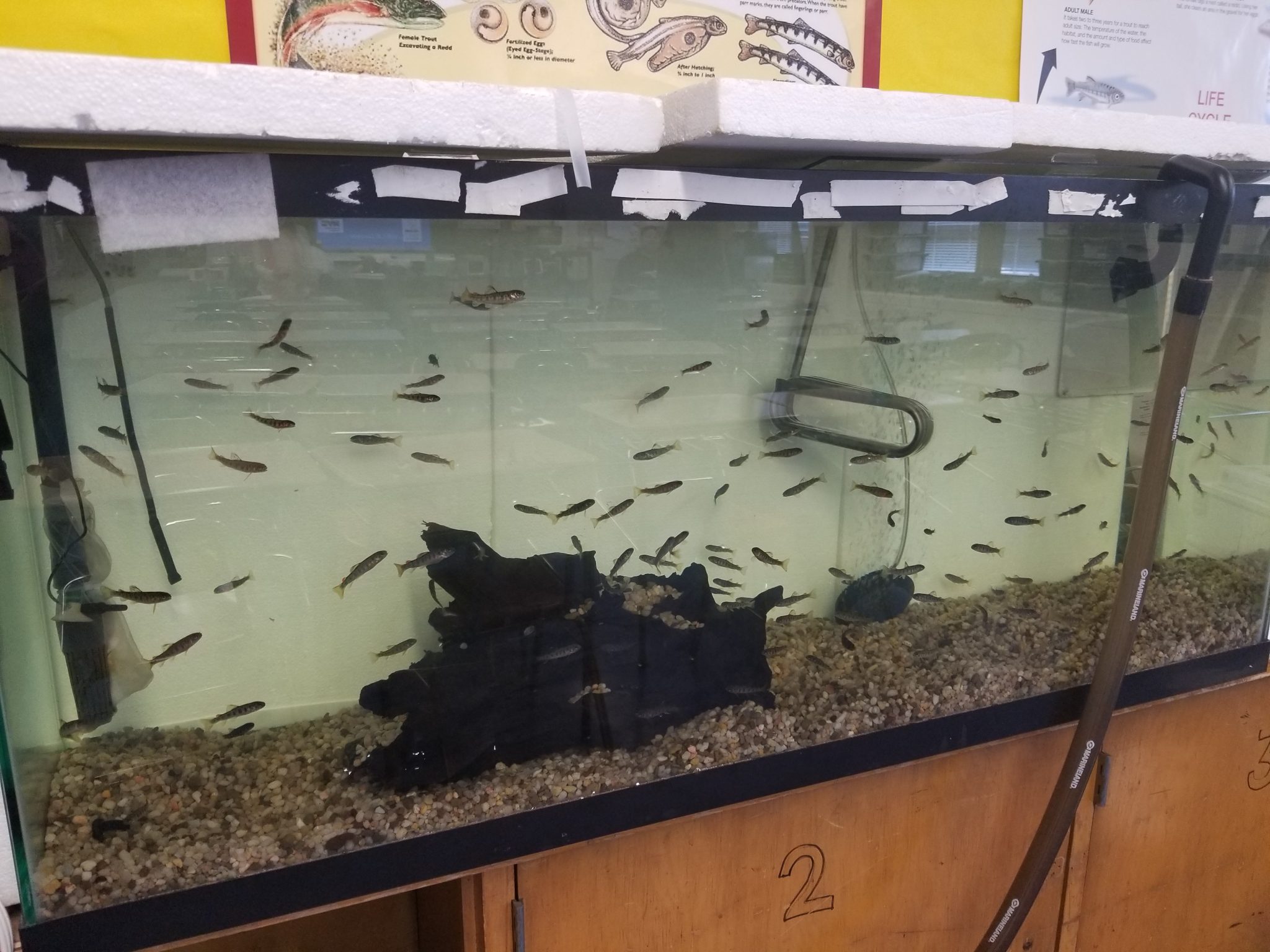 Chiller and Heat Pump Science – Trout in the Classroom