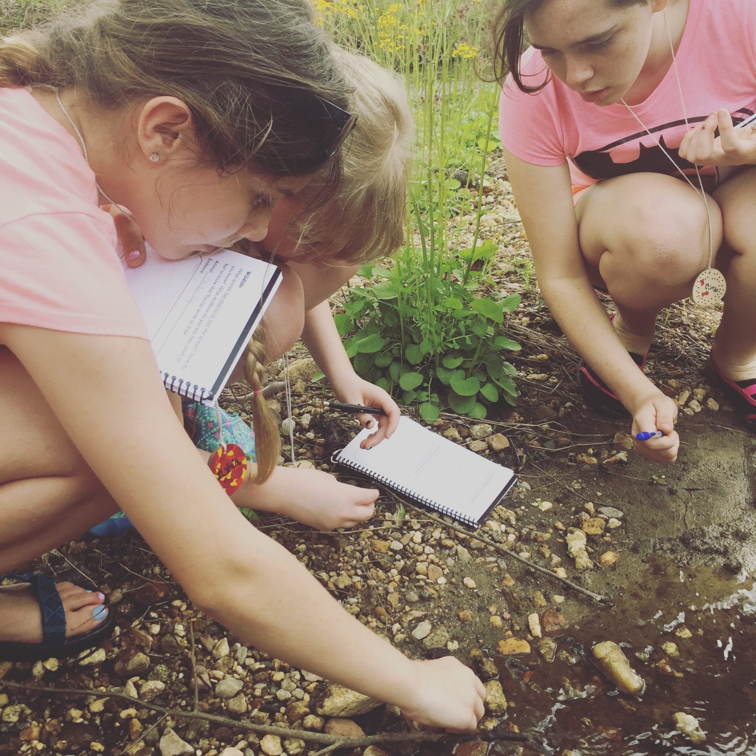 Habitat Assessment Worksheets – Trout in the Classroom