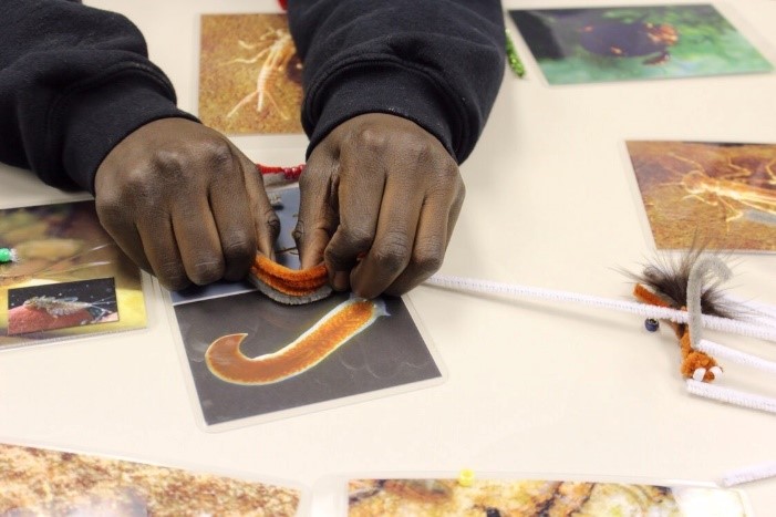 Mock Fly Tying – mimicry, morphology, art – Trout in the Classroom