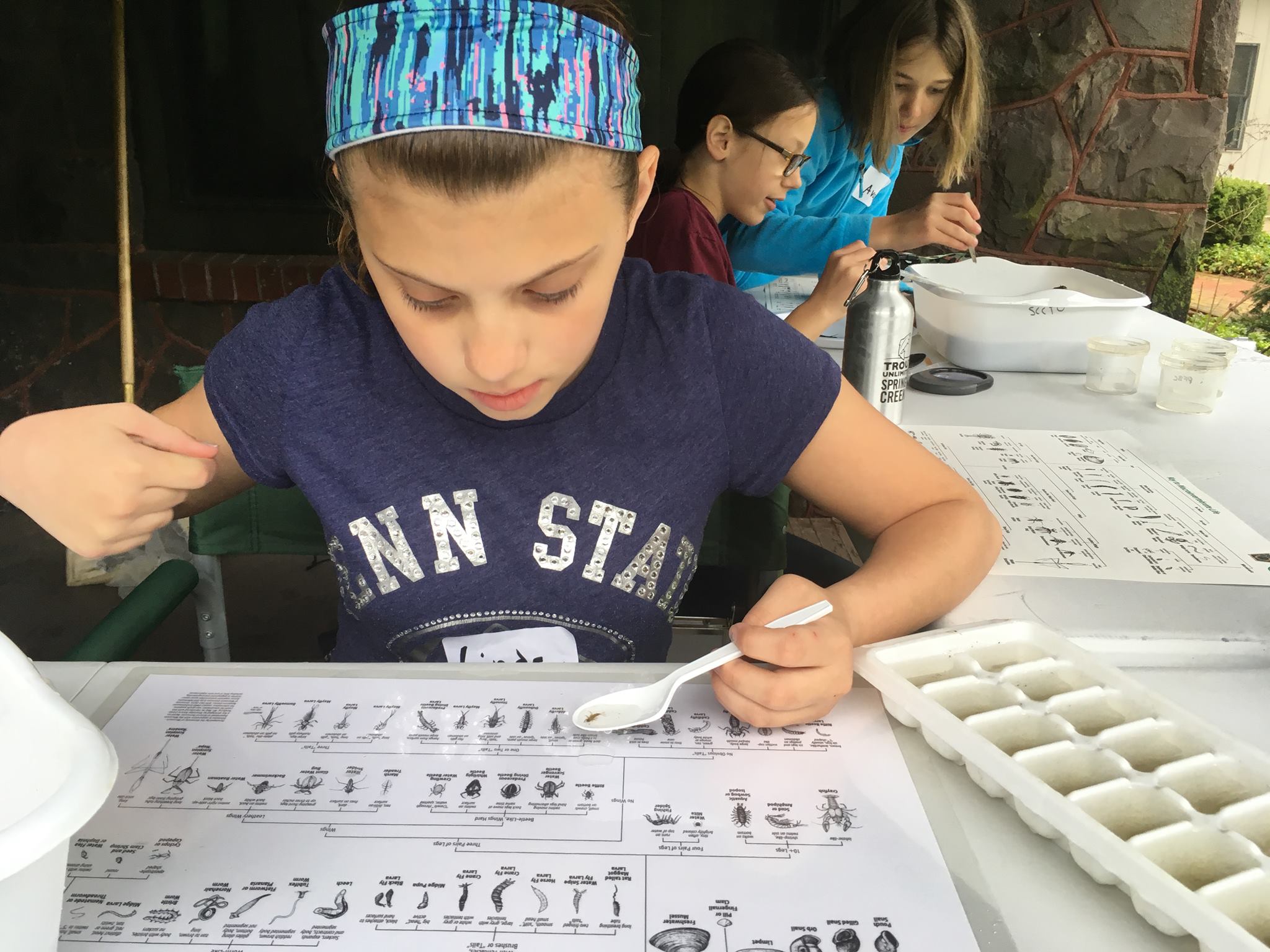 Macroinvertebrate sampling and water quality assessment – Trout in the ...