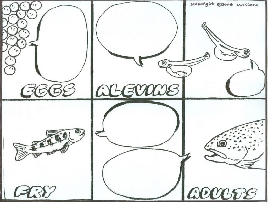 Trout Life Cycle Comic – Trout in the Classroom