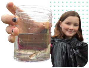 Trout in the Classroom – Connecting students with watersheds