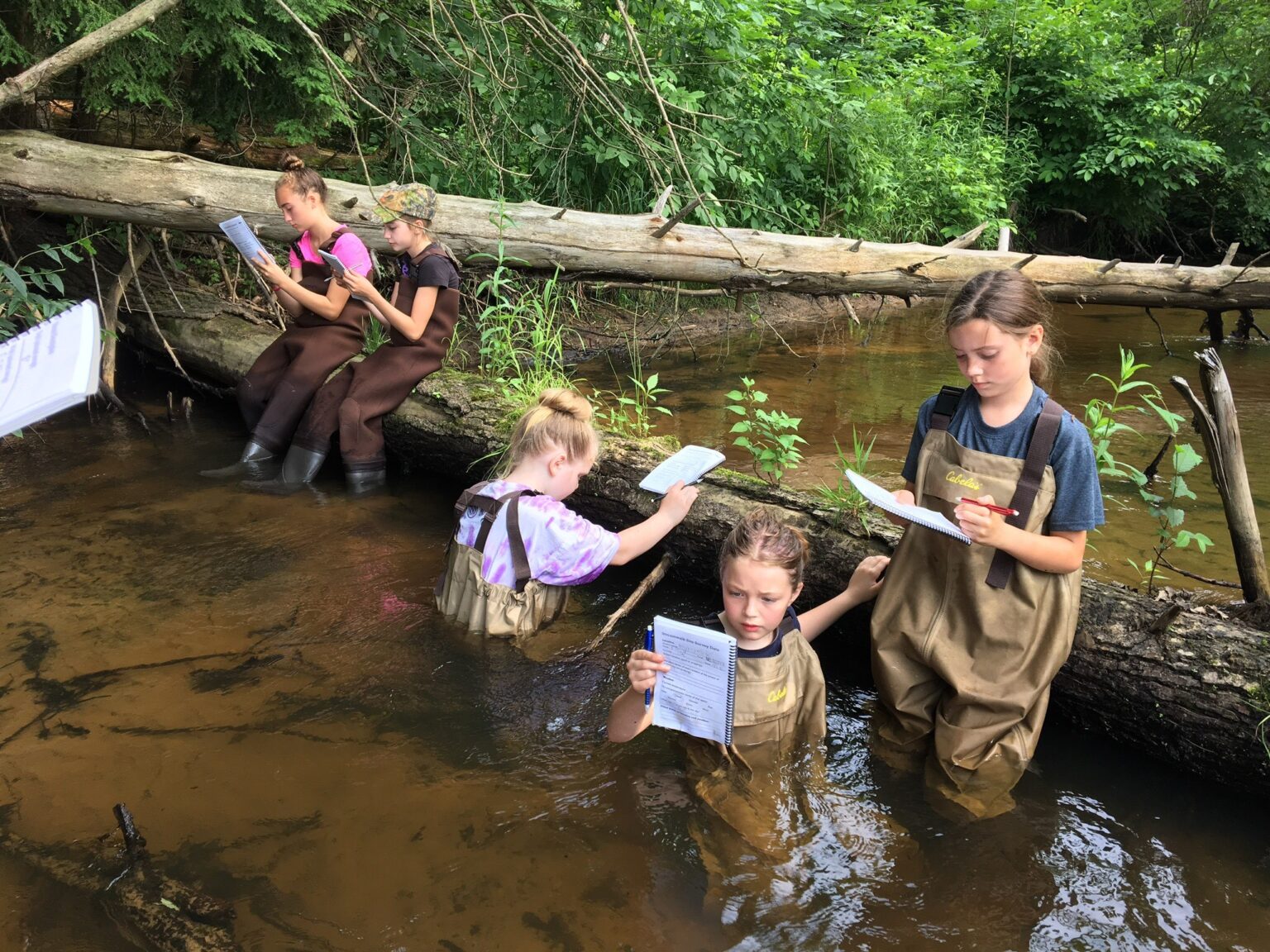 Journals and Blog: Year-long writing project – Trout in the Classroom