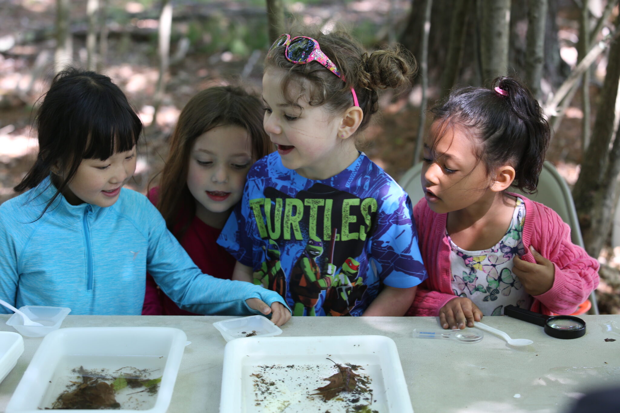 Trout Release Scrapbook – Trout in the Classroom
