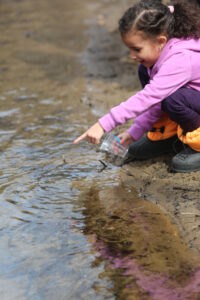 What Trout Need – Trout in the Classroom